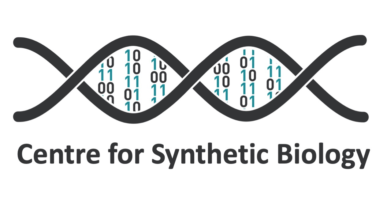 Research Consortia – Bruns Group